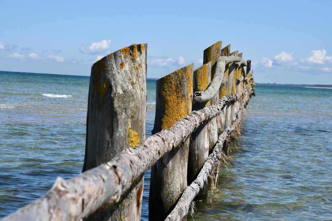 Comparing Tidal Barriers: Thames vs. Others